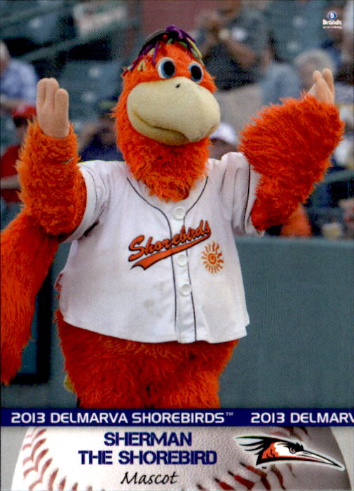 Baltimore Ravens Mascot, who got hurt in the Preseason, pays tribute to ...