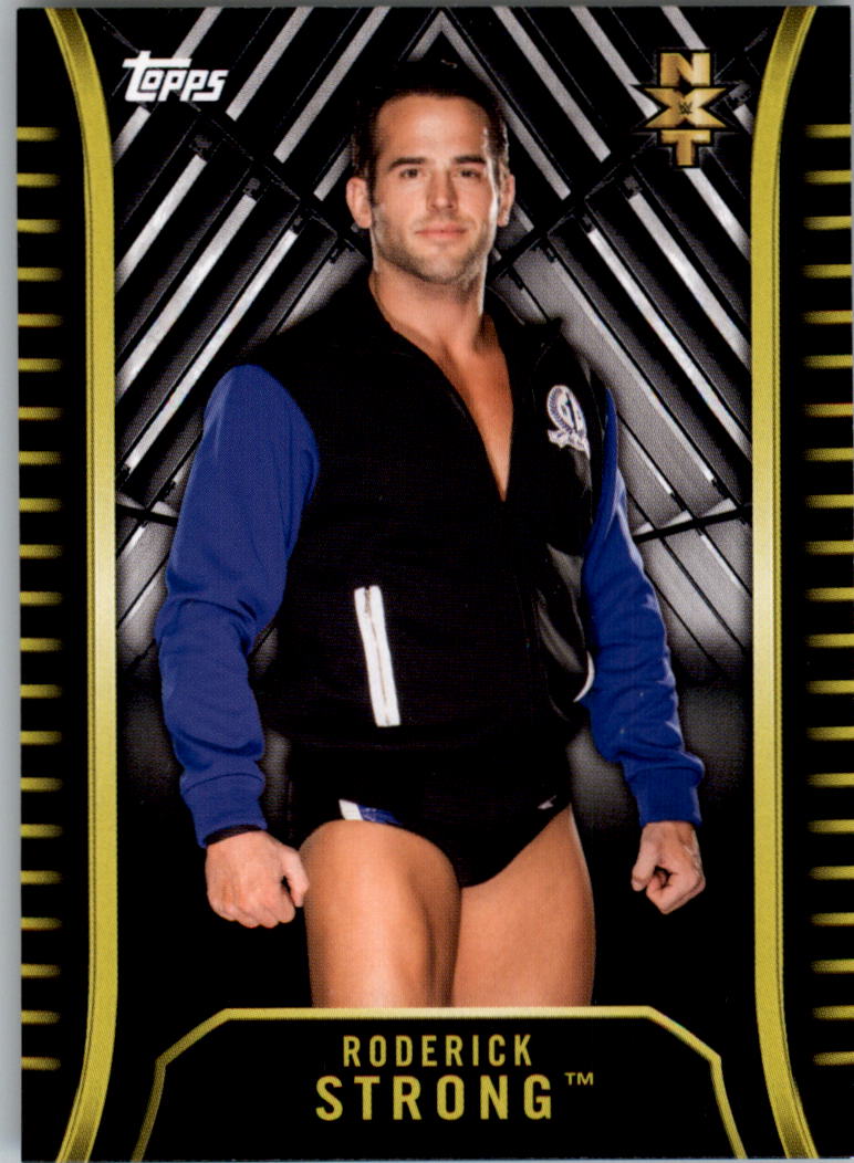 Roderick Strong Wwe