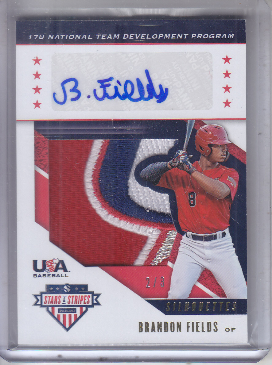 2019 USA Baseball Stars and Stripes Silhouettes Signatures Jerseys Team ...