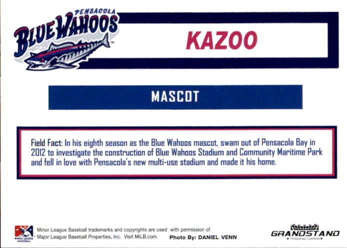 2019 Pensacola Blue Wahoos Grandstand #35 Kazoo MASCOT - NM