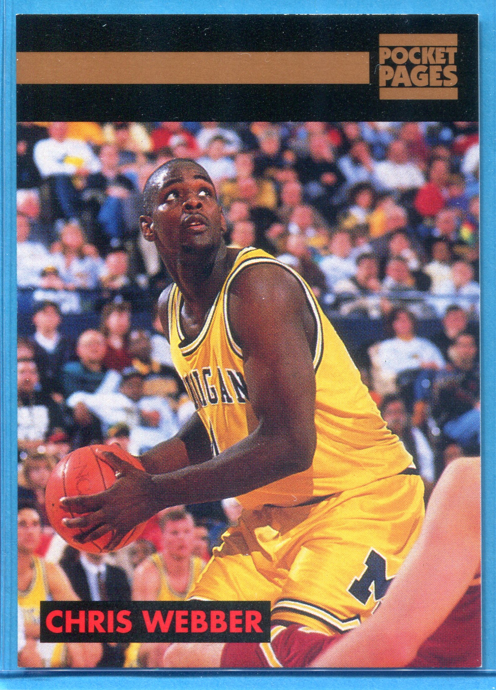 1993 Pocket Pages Card #42 Chris Webber - MINT