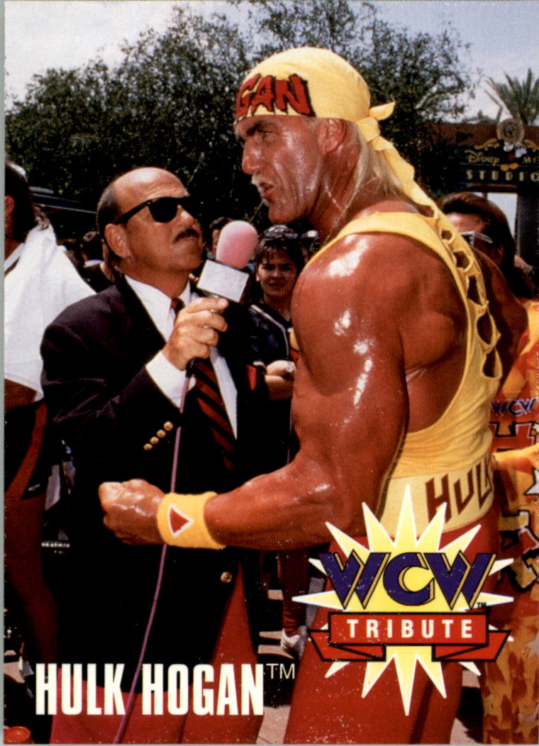 1995 CARDZ WCW Main Event - Tribute Sting #80 for sale online | eBay