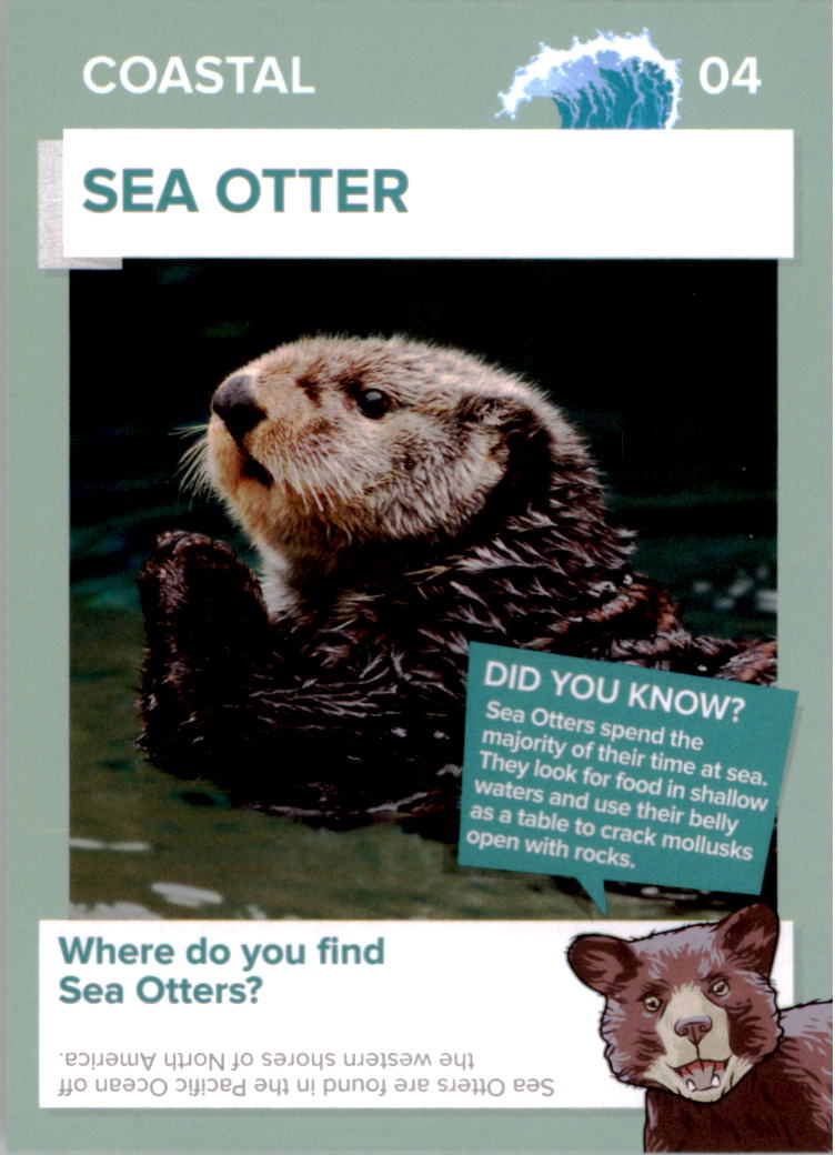 Non-Sports Card Price Guide | Find the Best Value for Your Collectibles ...