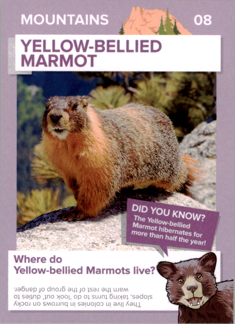 Non-Sports Card Price Guide : Accurate Card Values