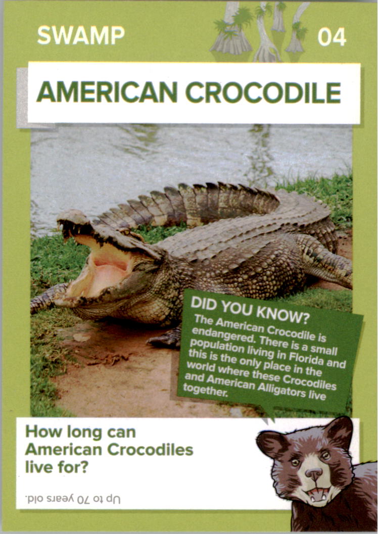 Non-Sports Card Price Guide | Find the Best Value for Your Collectibles ...