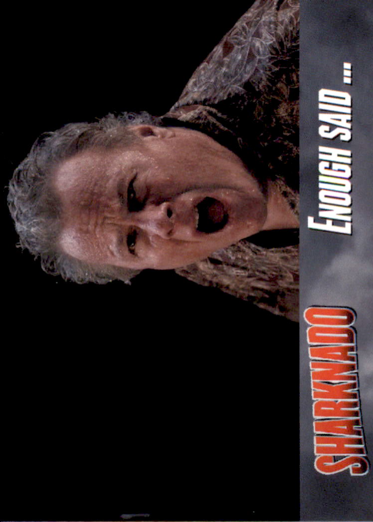 Enough Said Blu Ray