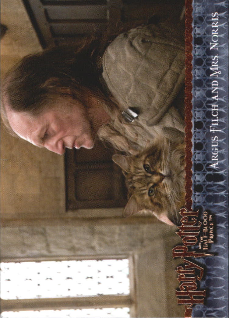 argusfilch,argus,argus阿格斯_大山谷图库