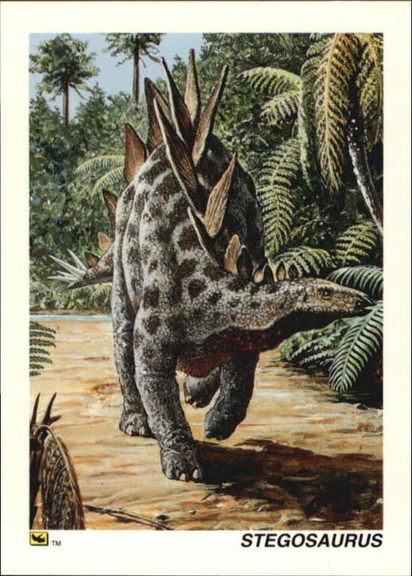 1992 DinoCardz #28 Stegosaurus - NM-MT