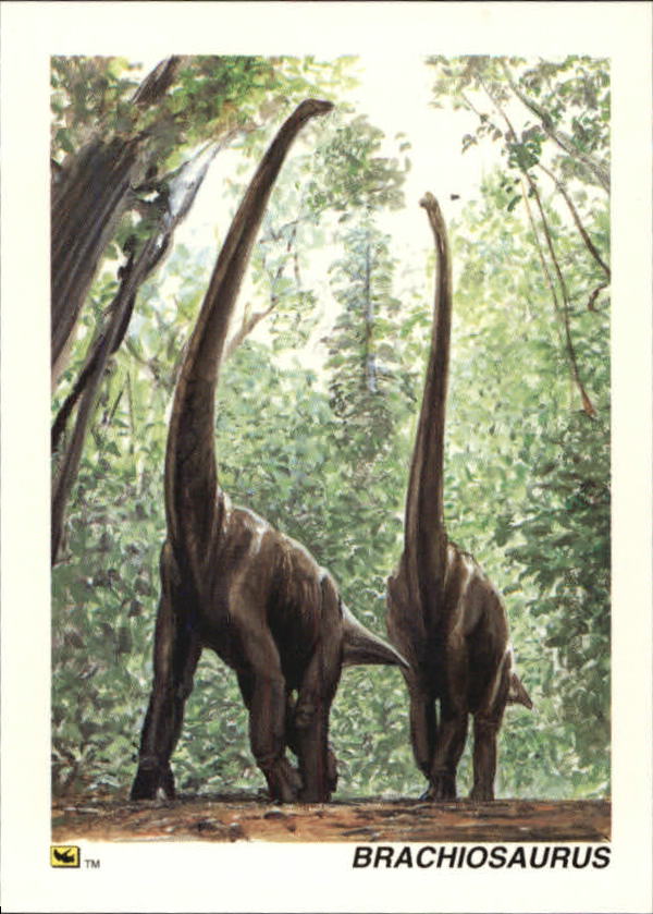 1992 DinoCardz #43 Brachiosaurus - A6071 - NM-MT