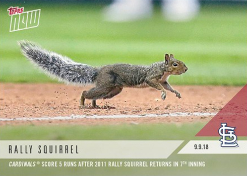 A Brief History of Rally Squirrel Baseball Cards Over the Years