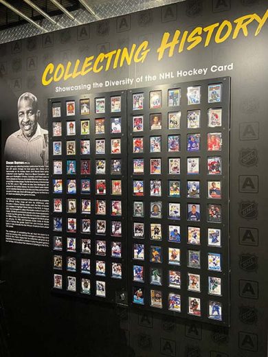 A Passion with a Purpose: Dean Barnes' Collection Charts Black Hockey ...