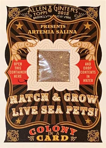 13 of the Weirdest Topps Allen & Ginter Baseball Cards Ever