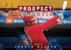 2023 Panini Select Baseball Checklist, Team Set Lists, Box Info