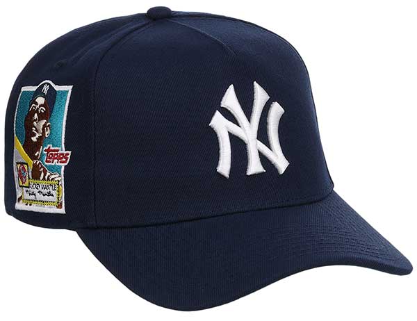 2024 Lids x Topps Player Chase Series 1 Baseball Checklist, Info