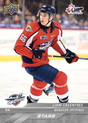 2024-25 Hockey Cards Release Dates, Checklists, Price Guide