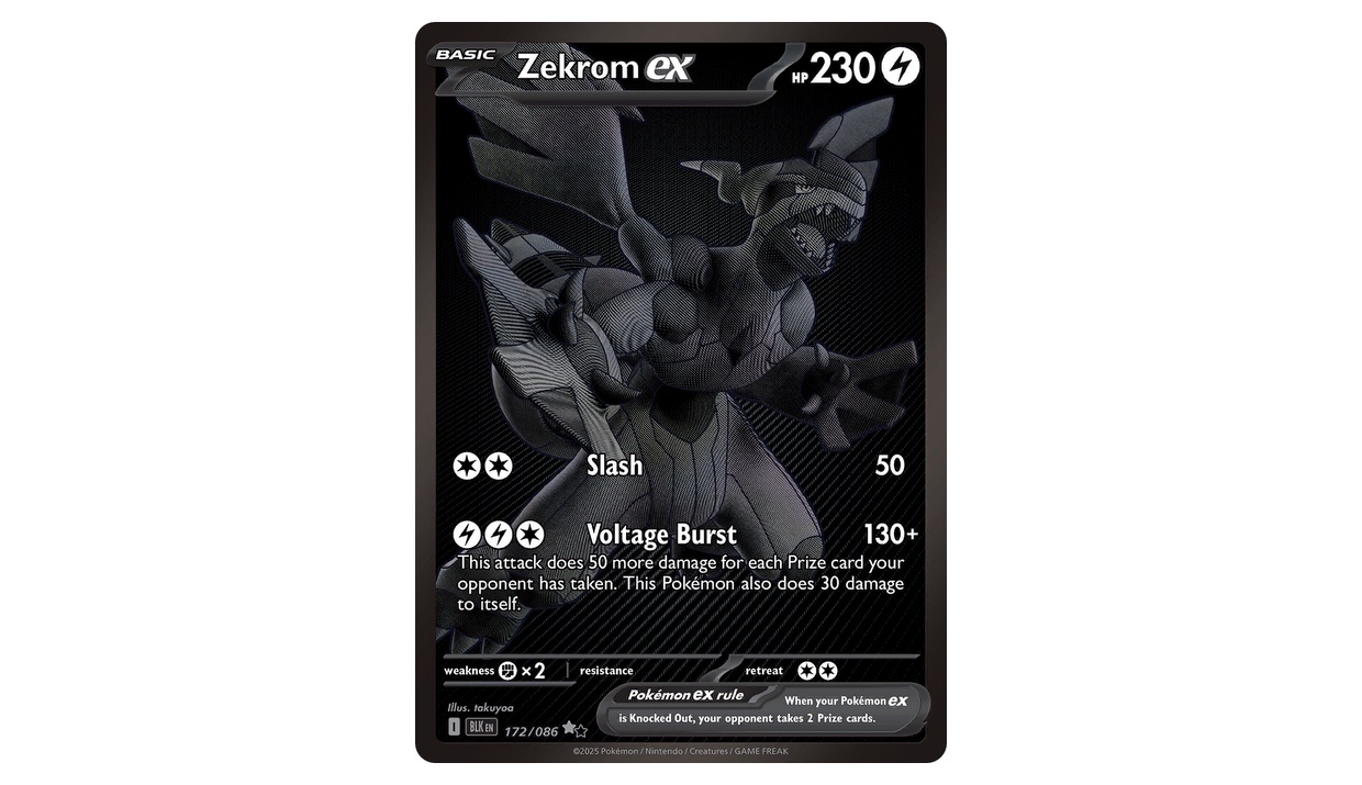 Pokemon TCG Black Bolt and White Flare Chase Cards: What Are the Most ...